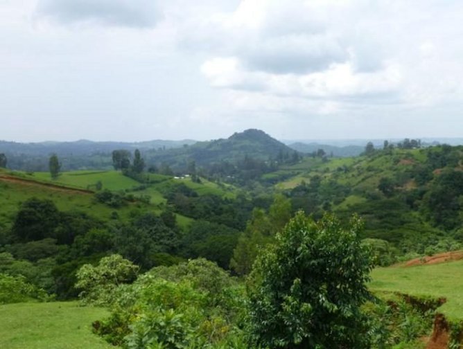 KEFI targets gold production in KSA and Ethiopia in 3 years | Mining ...