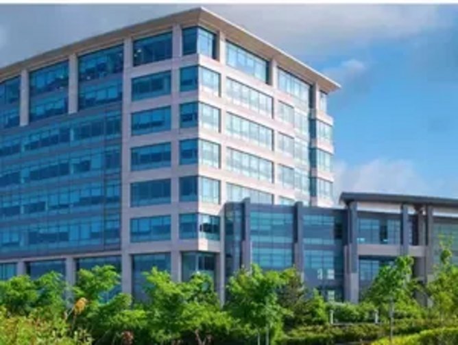 Bell: Digital transformation in cyber security and networks | Telco ...