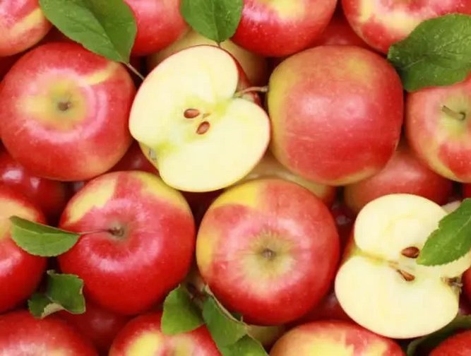 The USDA Just Approved the First Genetically Modified Apple for ...