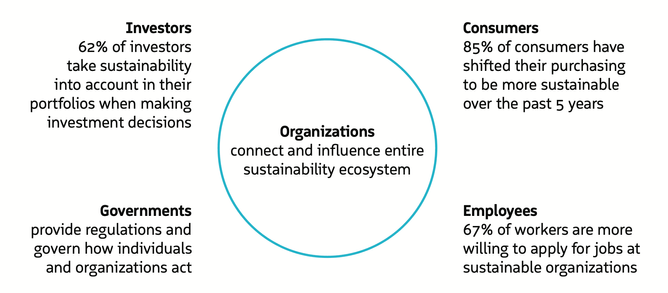 Bain: How MENA Companies can Become Sustainability Leaders ...