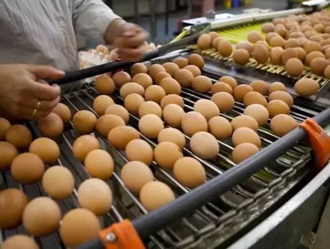 From mining to dining: Century Iron Mines expands into food production ...