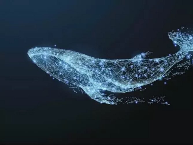 Whale Cloud Technology launches rebrand, announces plans to invest 1bn ...