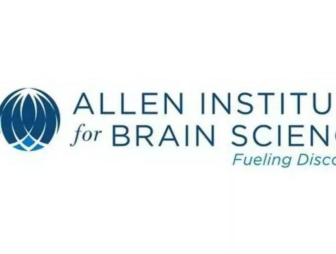 Microsoft co-founder pledges $300m to brain research | Healthcare Digital
