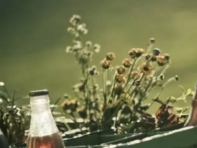 Coca-Cola Launches Healthy Soda: Coca-Cola Life | Business Chief North ...