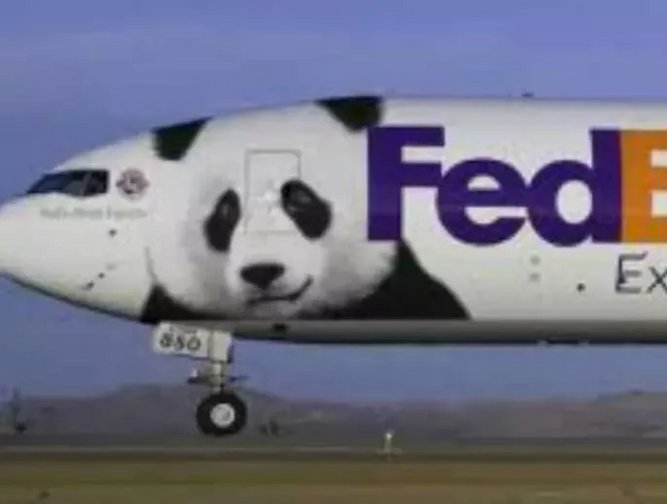 FedEx's Panda Express | Supply Chain Magazine
