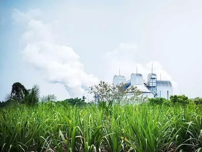 The April issue of CSO Magazine is live! | Sustainability Magazine