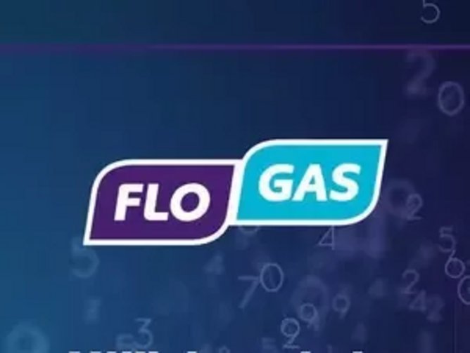 Exploring Flogas’ digital transformation and the importance of ...