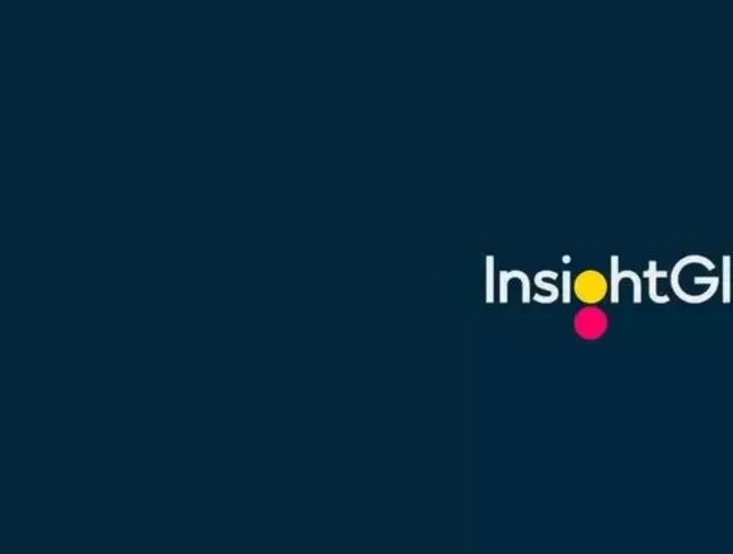 Insight Global: a flexible and responsive skills resource | Supply ...
