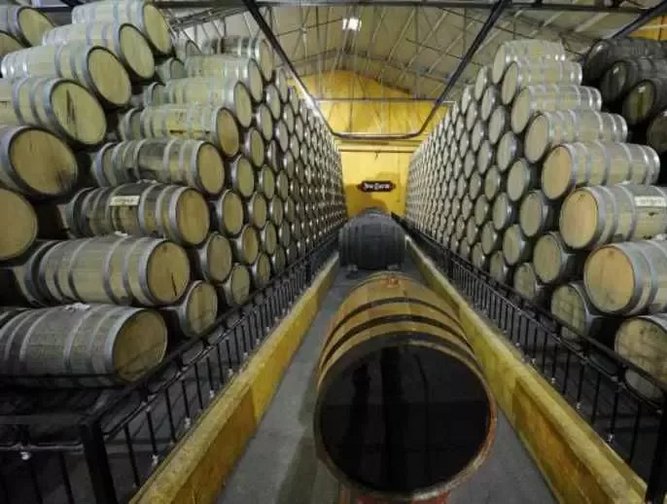 JOSE CUERVO IS A PUBLICLY TRADED COMPANY NOW | Food and Drink Digital