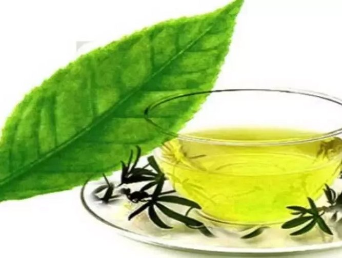 Green tea helps in lowering rate of some digestive system cancers ...