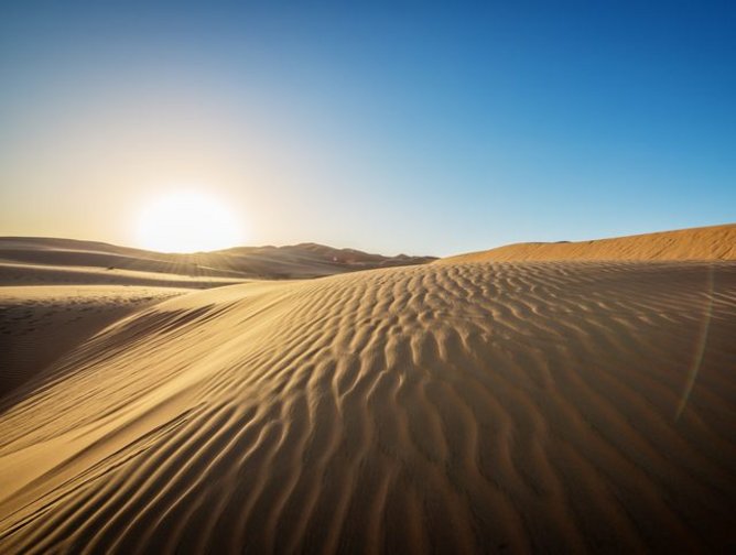 Softbank to develop world’s largest solar farm in Saudi Arabia | Energy ...