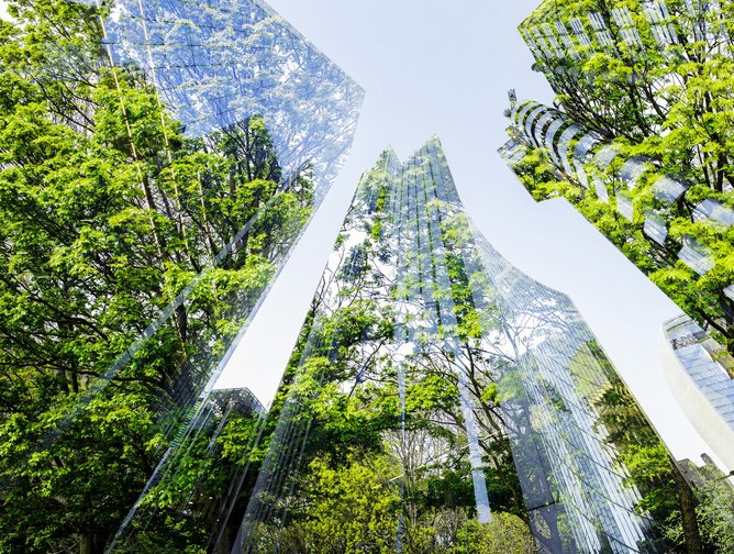 Will new ASA guidelines provide an end to greenwashing ...