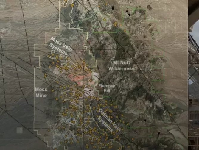 Elevation Gold appoints new chief operating officer | Mining Digital