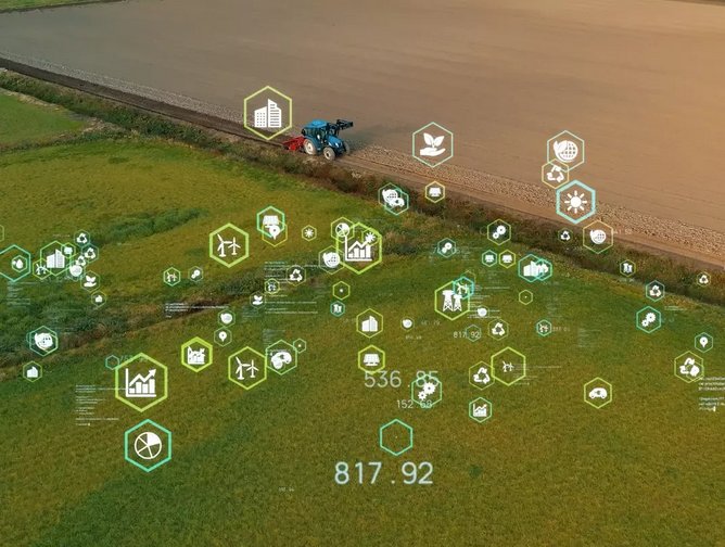 Hummingbird Technologies: leader in imagery analytics | AI Magazine