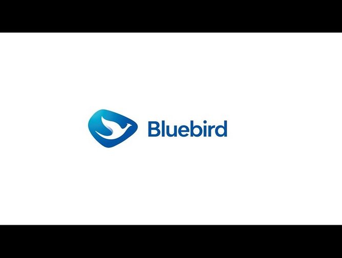 Blue Bird Group CIO Andoko Wicaksono on transport technology ...