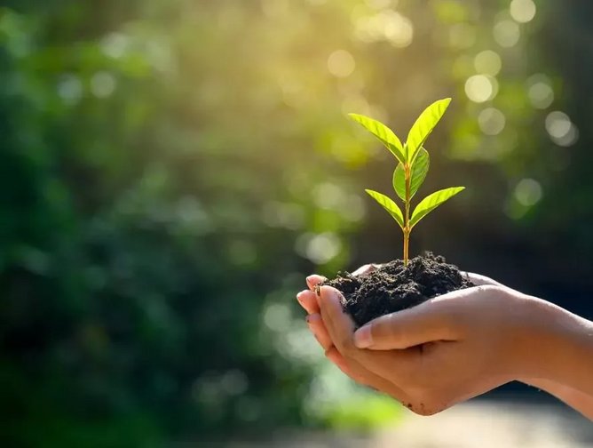 Nestlé Accelerates Sustainable Packaging Transformation Manufacturing