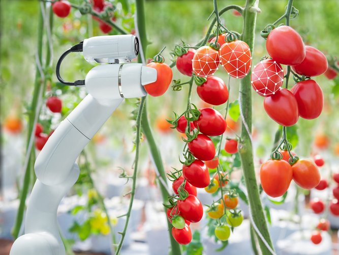 Unlocking opportunities in the food industry with AI | AI Magazine