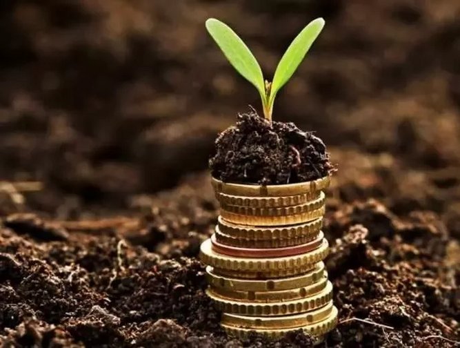 4 Lessons from Successful Physicians on Building a Stable Financial ...