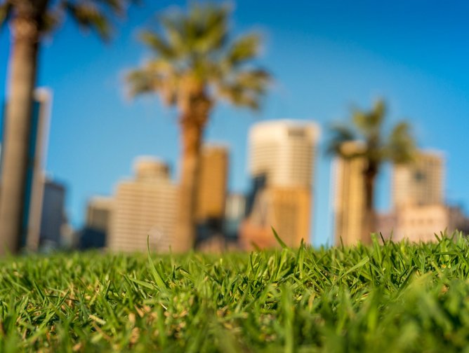 AGL Energy advances in Australia’s decarbonisation journey ...