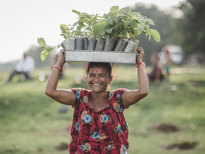 tentree shows businesses how to regenerate the environment ...