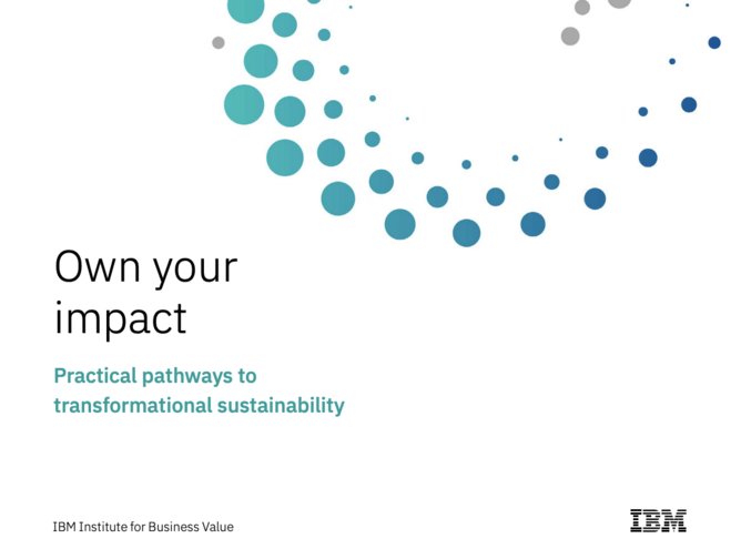 IBM – Sustainability is top priority and challenge for CEOs | Business ...