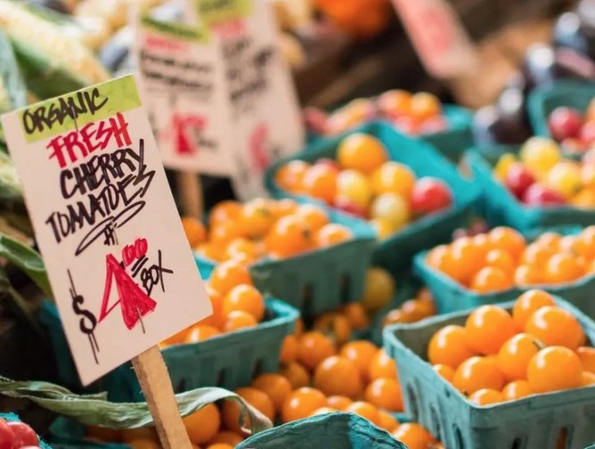 Feast-or-famine food supply chains need global solutions | Supply Chain ...