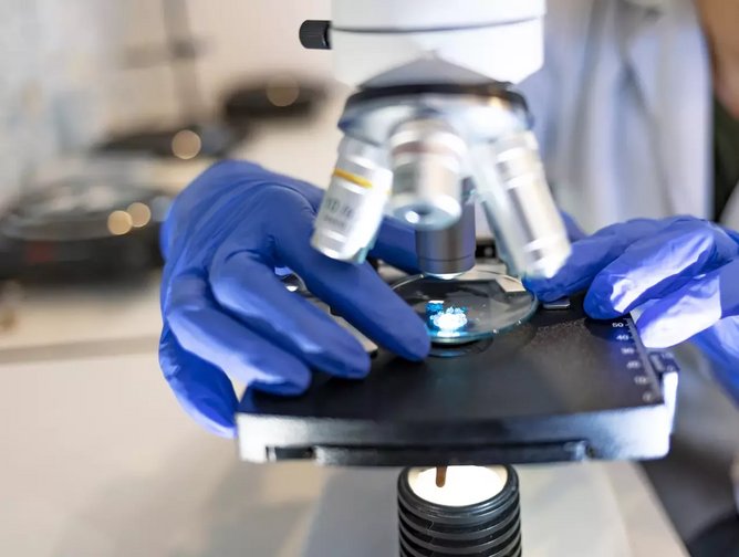 Biosample Hub: tackling the crisis in biotech research | Healthcare Digital