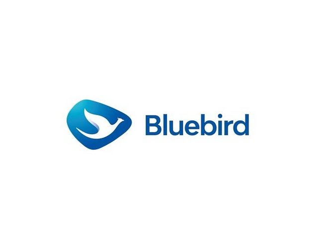 Blue Bird Group CIO Andoko Wicaksono on transport technology ...