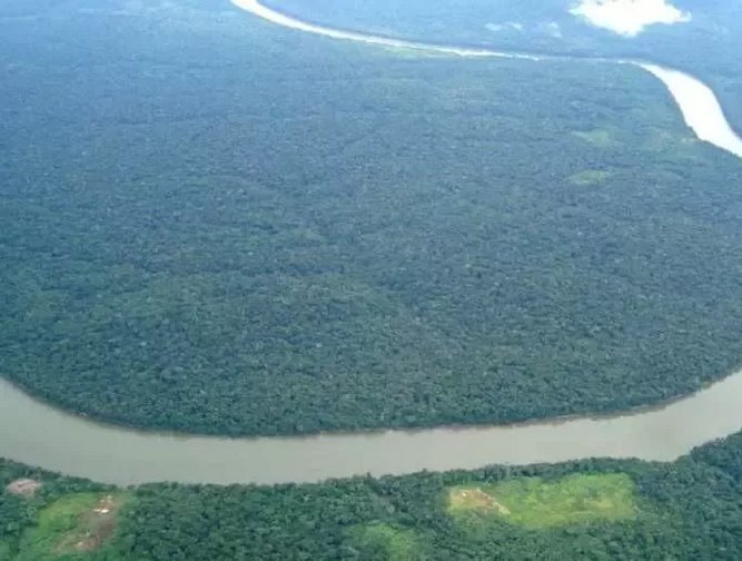 Construction begins on 325m environmental observation tower in Amazon ...