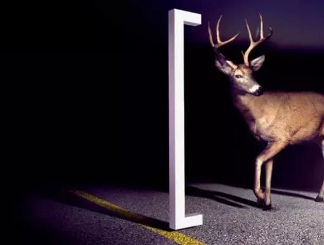 Cadillac adopts Veoneer Night Vision thermal imaging system ...