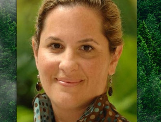 Deloitte hires first-ever global sustainability leader | Business Chief ...