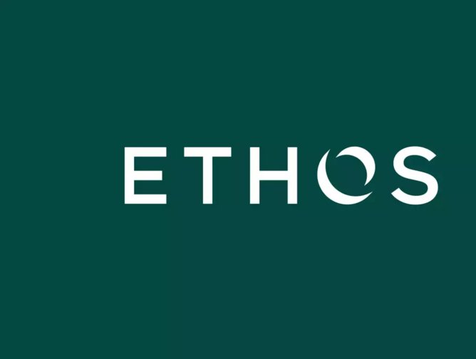 Insurtech Ethos helps reshape the US life insurance market | InsurTech ...