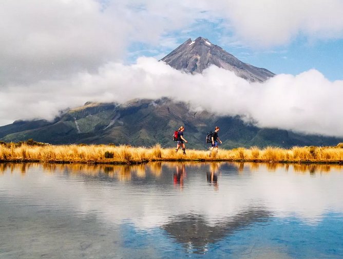 Dana Dunne, CEO Discusses eDreams Prime Travel Subscription | Business ...