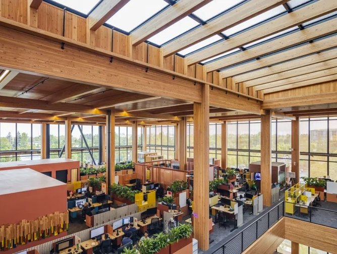 Wood Office Building Interior Google Goes Back To Nature With Its