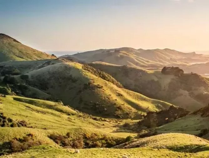 Meridian, Datagrid to build hyperscale data centre in NZ | Data Centre ...