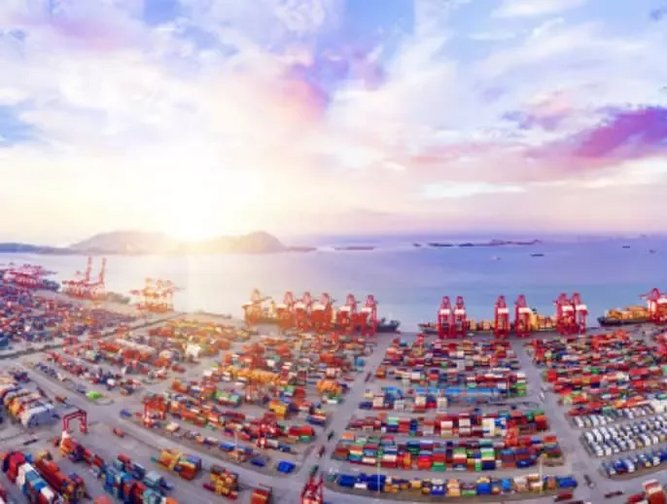 Freightos: Fast-forwarding freight to the 21st century | Supply Chain ...