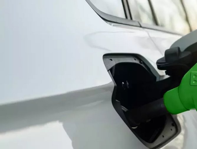 Renewable energy and the future of biofuel | Sustainability Magazine