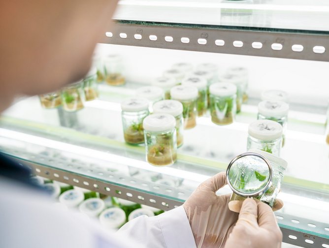 OpenText: Four ways life sciences can better utilise data | Healthcare ...