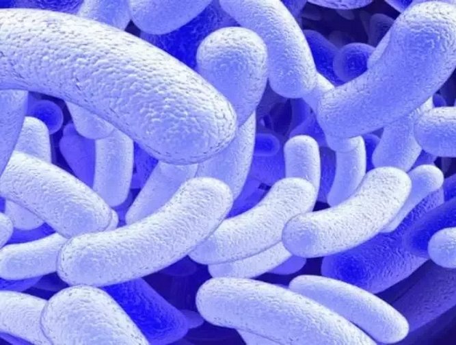 Electrofuel System Could Build Alternative Fuels | Energy Digital