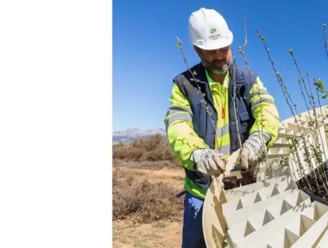 Shell spells out its net zero emissions transition strategy | Energy ...