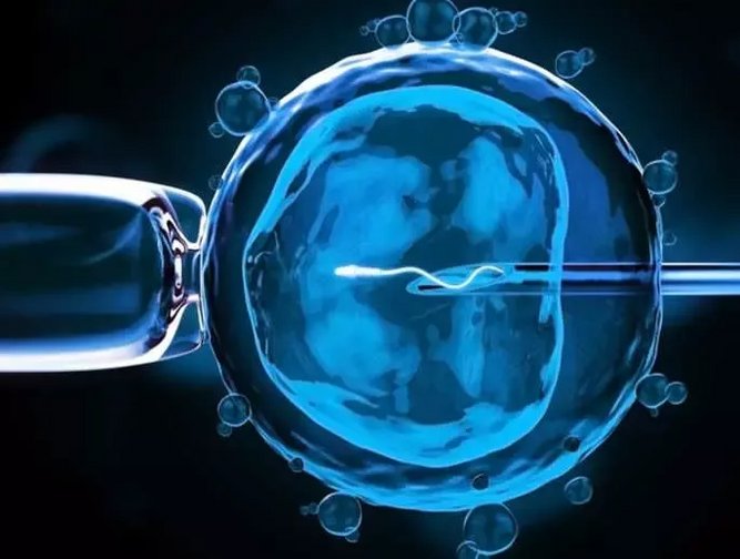 Scientists in the US have edited the DNA of human embryos for the first ...