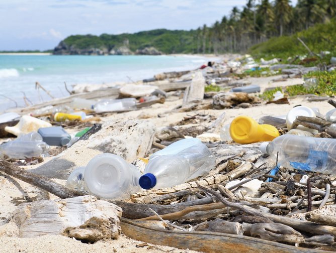 Constructive Bio targets sustainability with genome tech ...