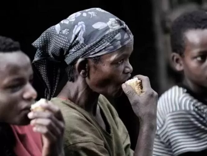 WHO launches global online nutrition project | Healthcare Digital