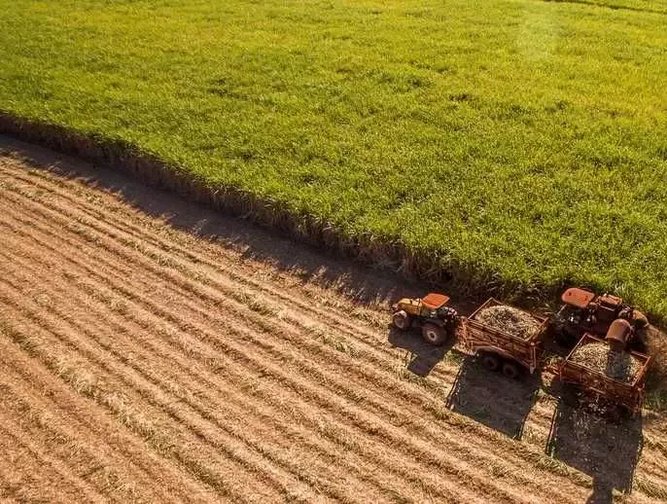 AB Sugar: Global Minds, Local Champions | Sustainability Magazine