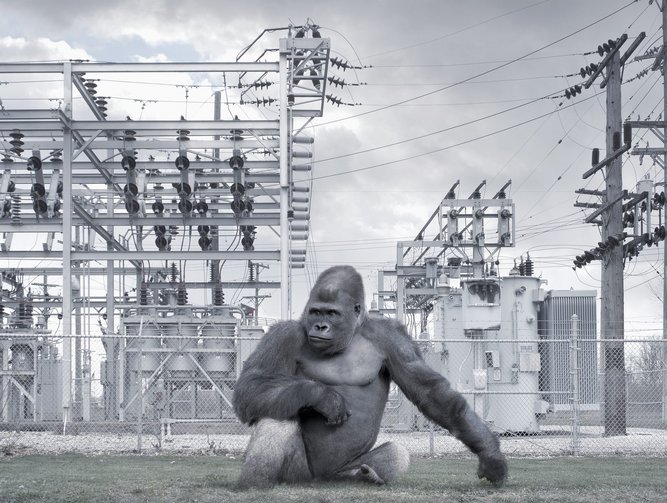 Huge growth means AI has "800-pound gorilla" energy problem | AI Magazine