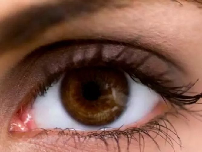 Microchips to restore useful vision in RP patients | Healthcare Digital