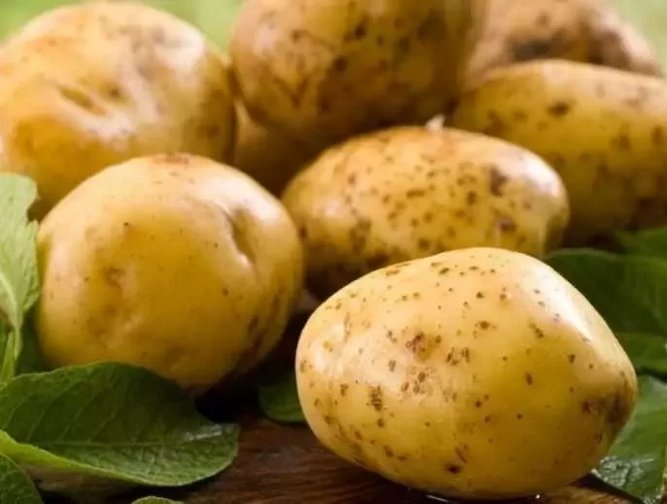 Why is McDonalds Rejecting the Simplot Innate GMO Potato? | Food and ...