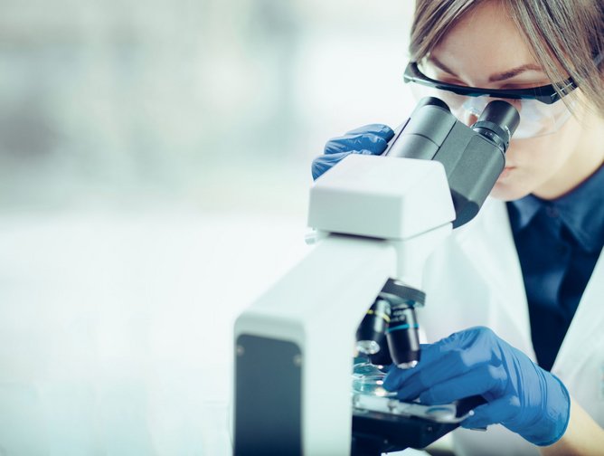Tyson Foods invests in lab-grown meat company Future Meat Technologies ...