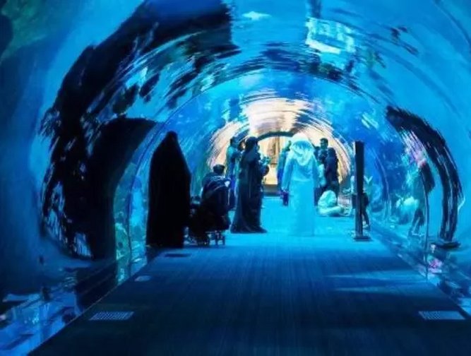 5 Innovative underwater builds | Construction Digital