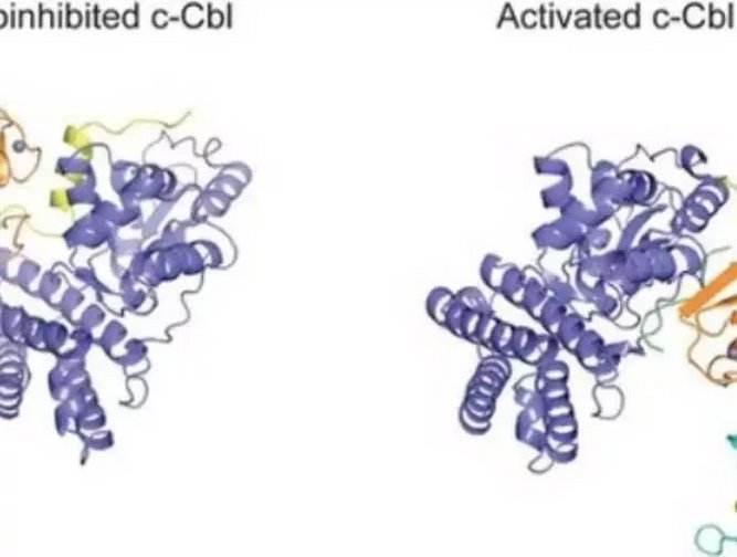 Scientists create first ever 3D cancer protein image | Healthcare Digital